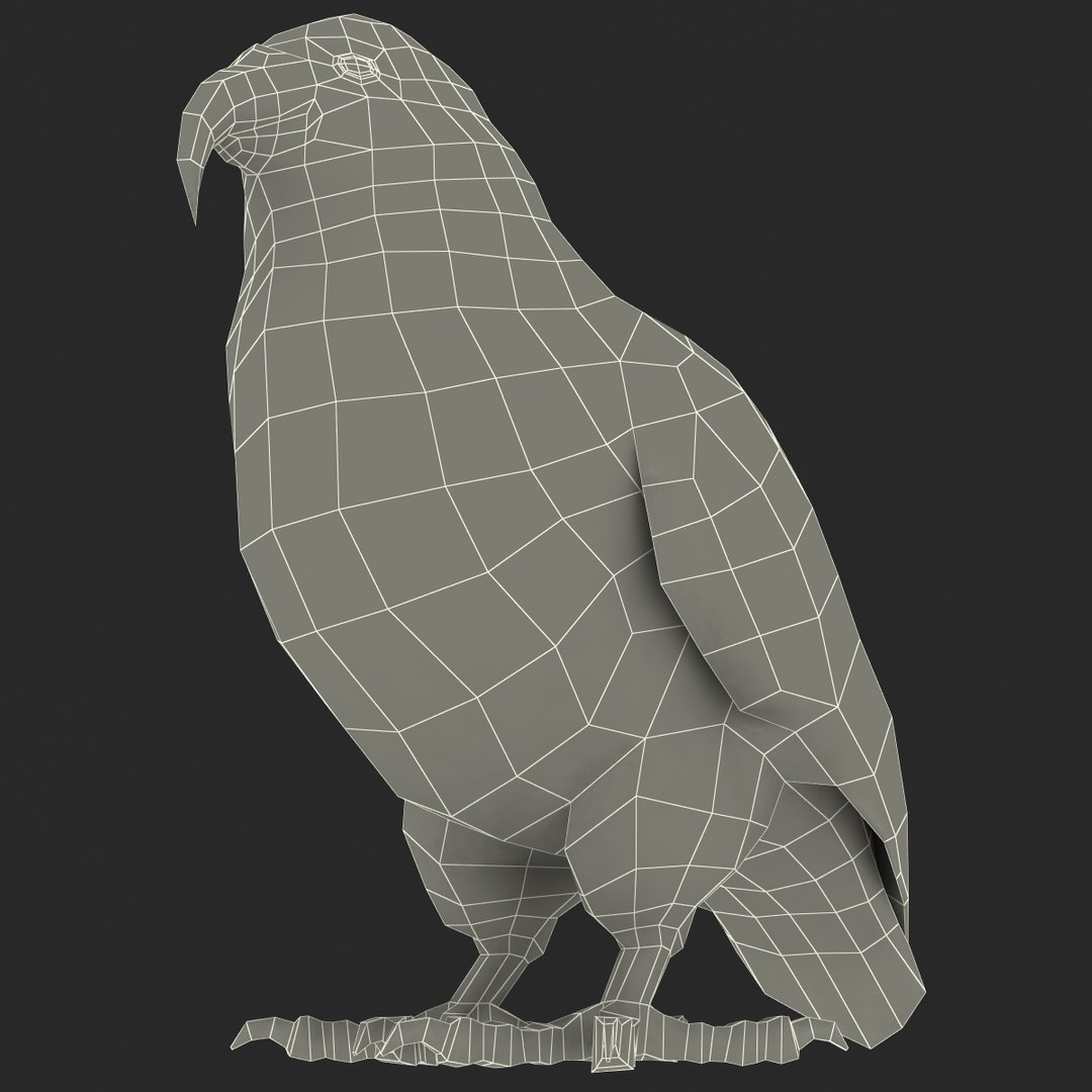 3ds max kea parrot bird