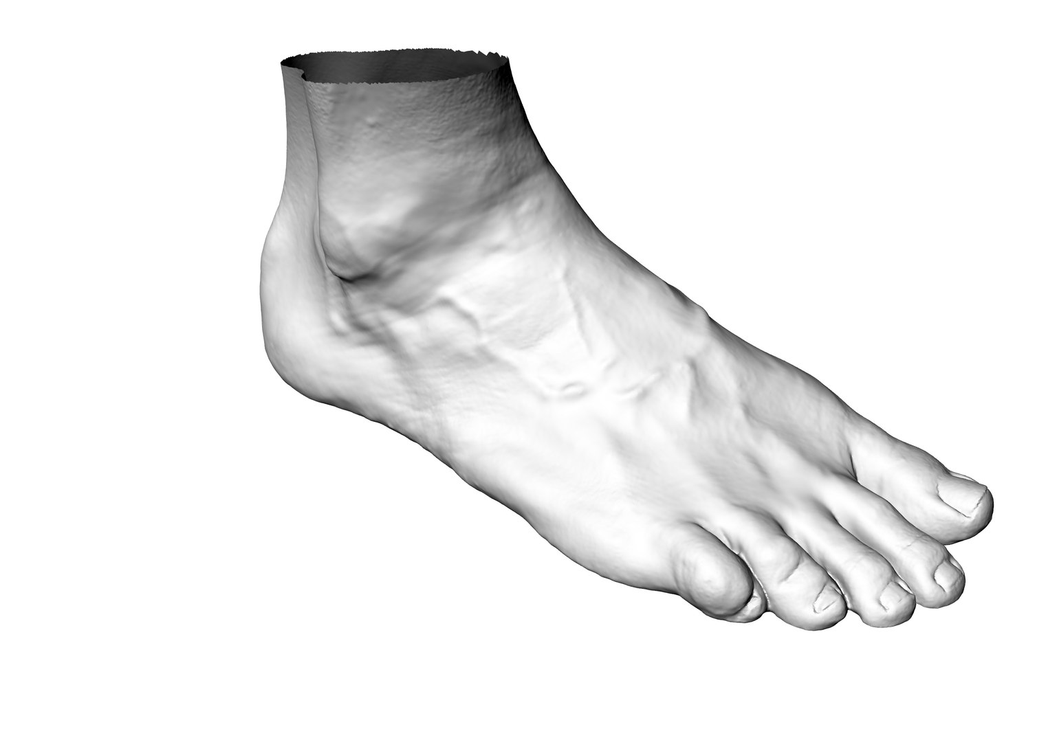 Foot Model - TurboSquid 1732039