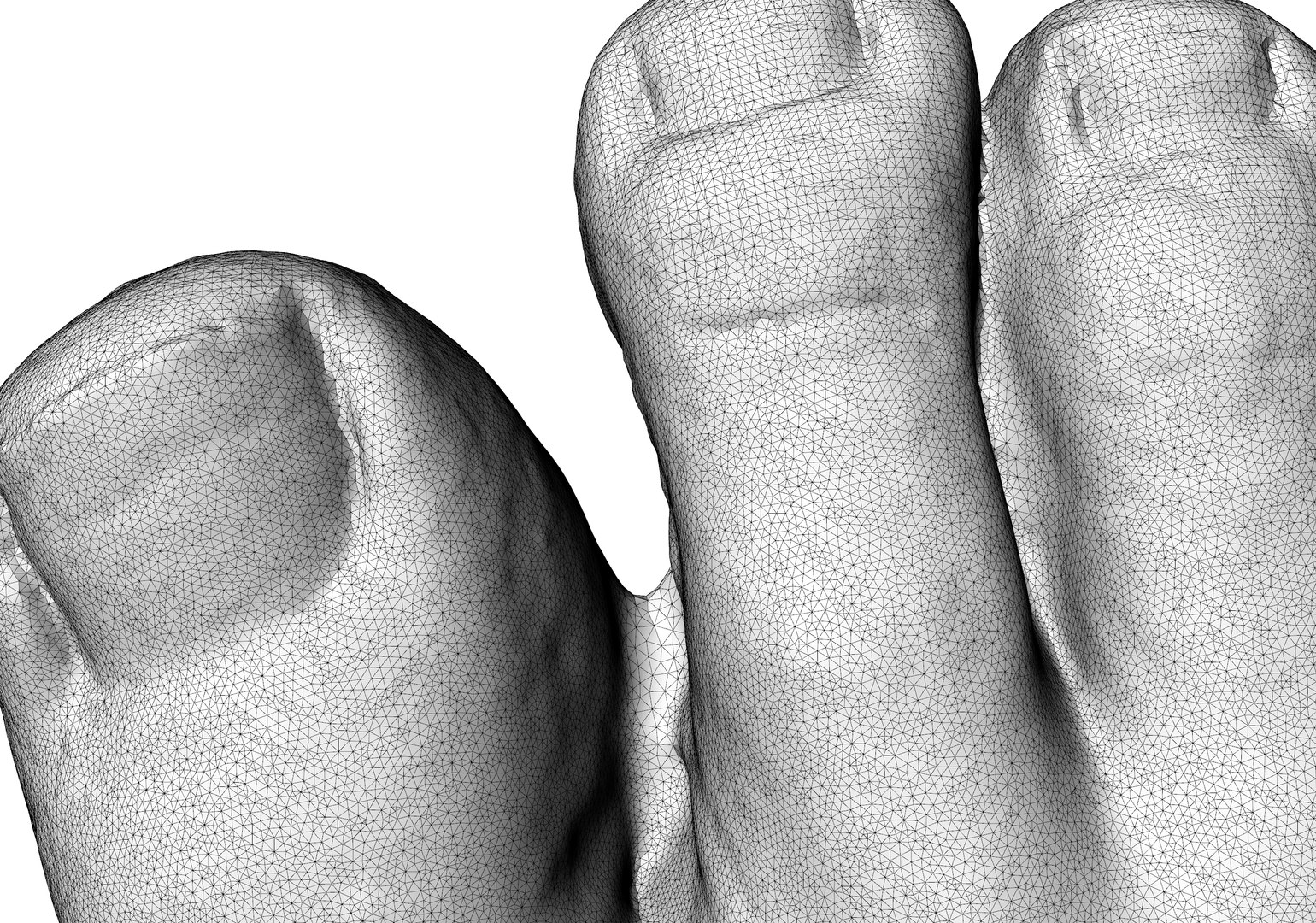 Foot Model - TurboSquid 1732039