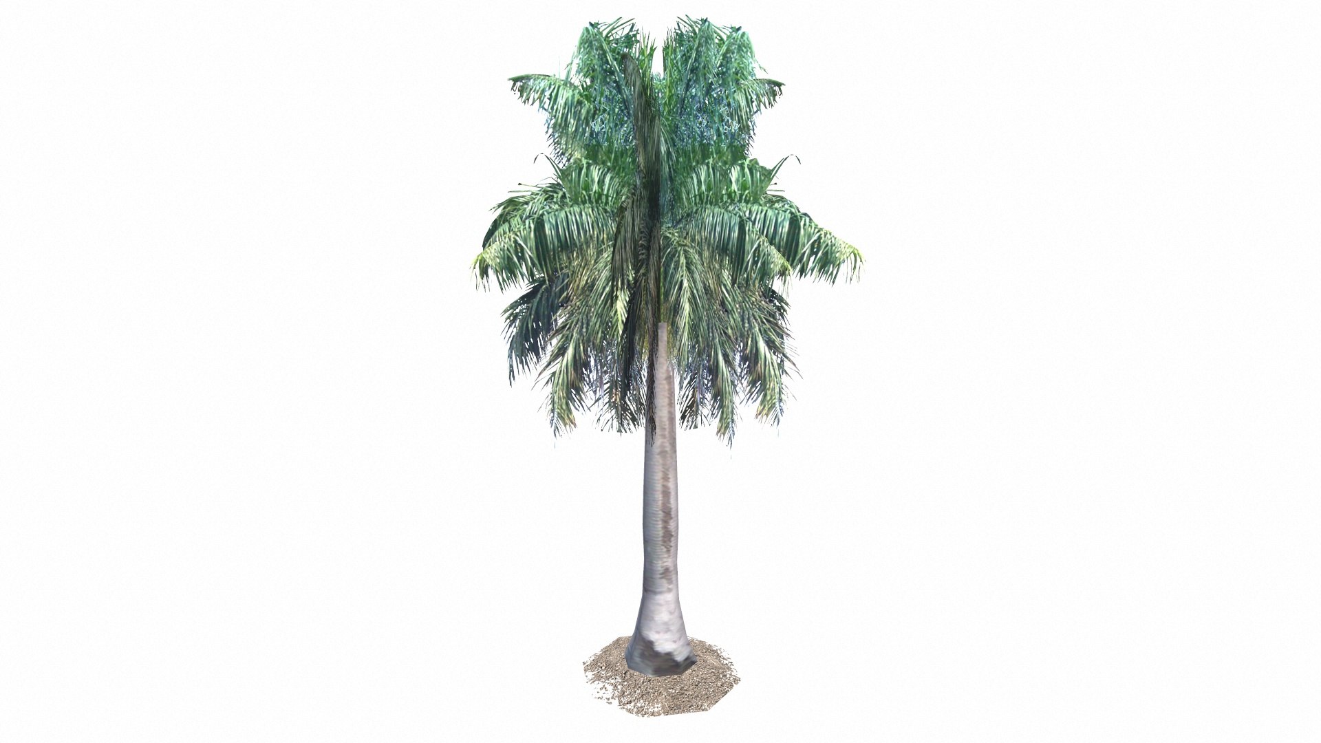 Palm Tree Lowpoly 3D Model - TurboSquid 2345656