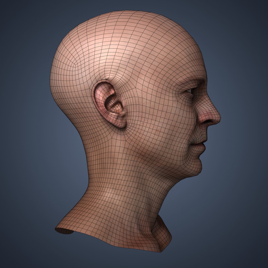 3d model of john head