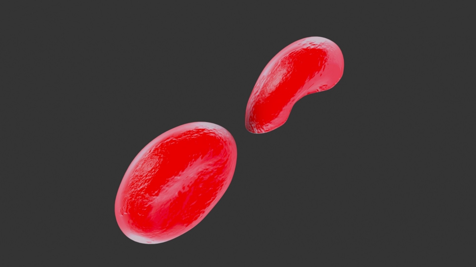 Red Blood Erythrocytes 3D Model - TurboSquid 1264394