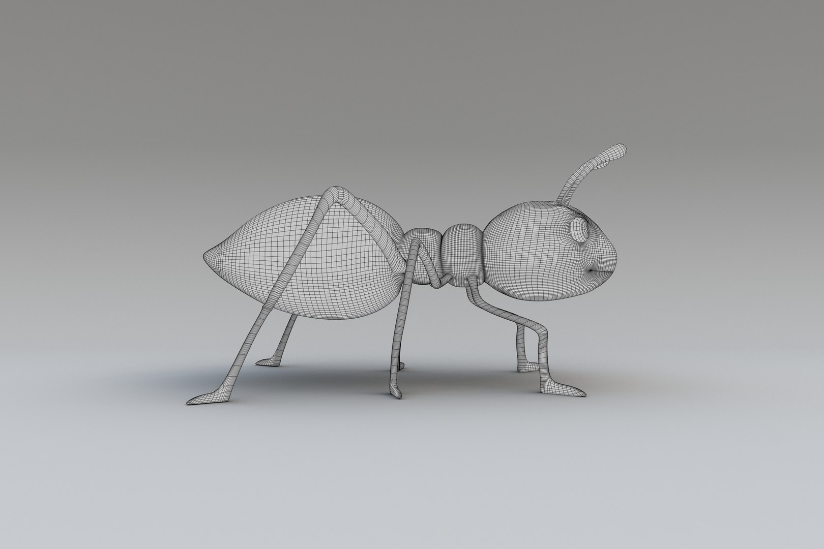 3D Ant ANIMATED - TurboSquid 1986502