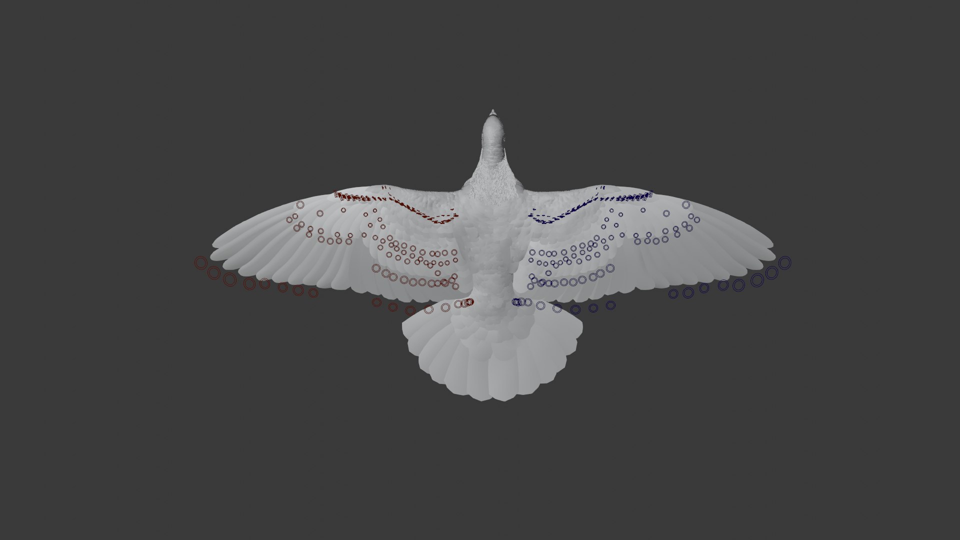 3D Pigeon Animated model - TurboSquid 1916352