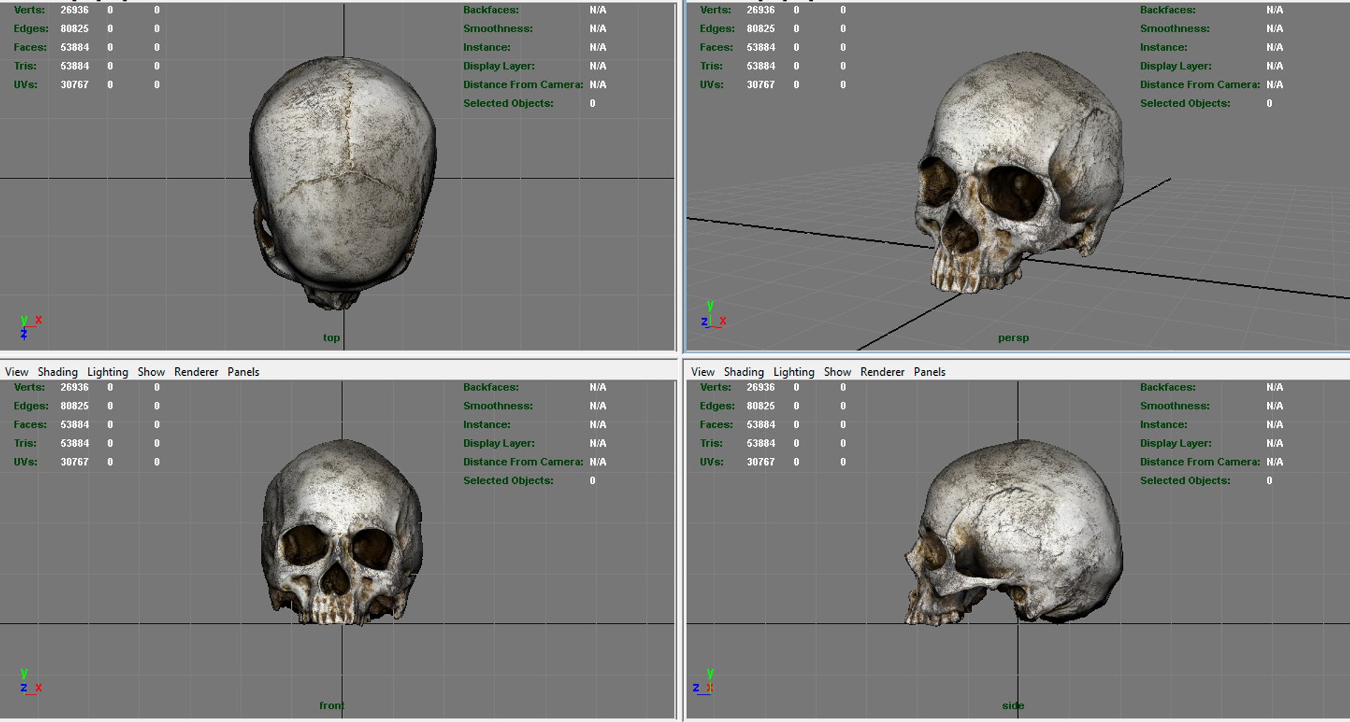 Realistic Skull 3d Obj