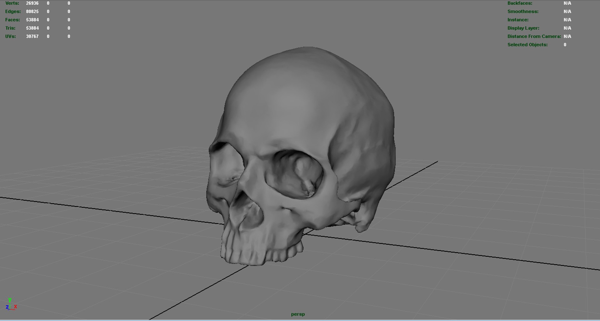 Realistic Skull 3d Obj