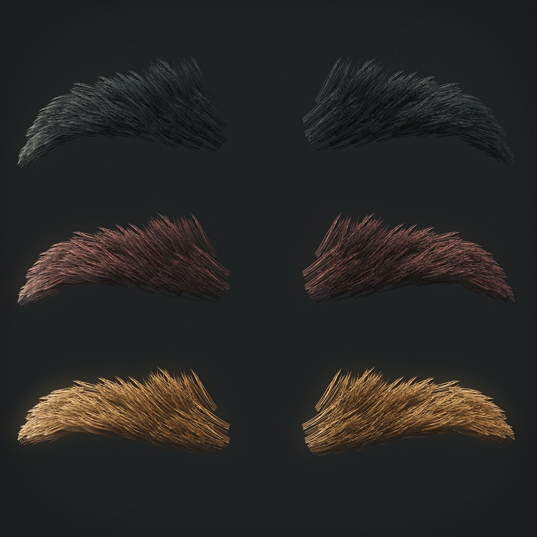 Eyebrows 1 3D Model - TurboSquid 1491699