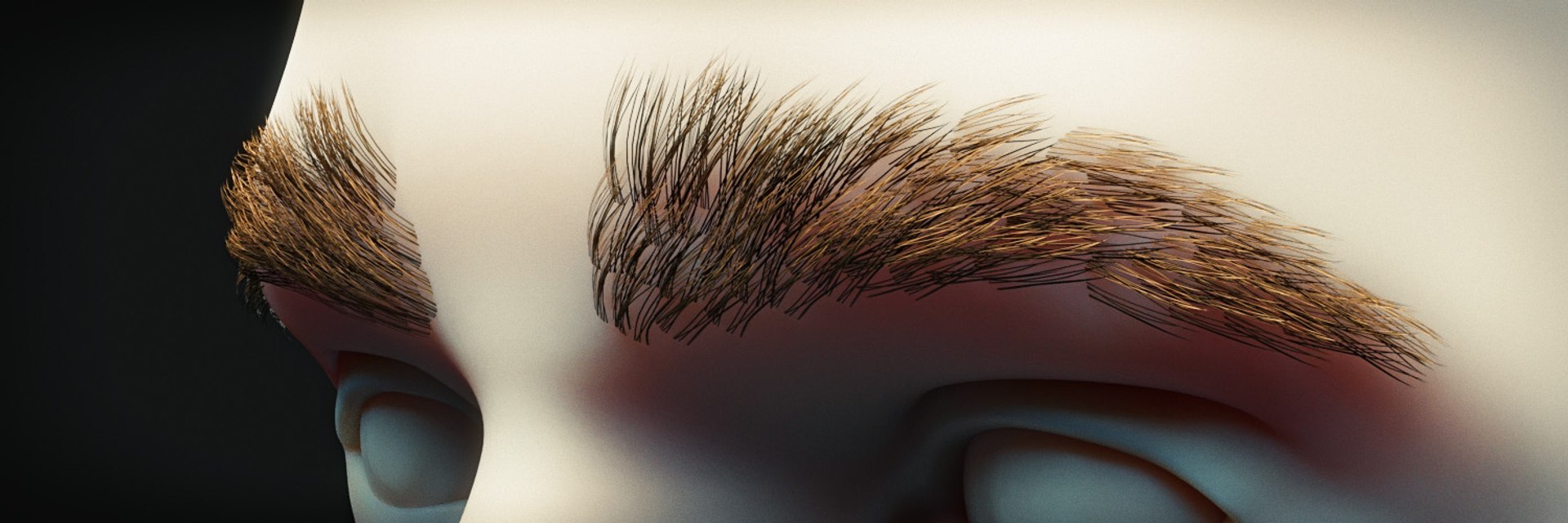 Eyebrows 1 3D Model - TurboSquid 1491699