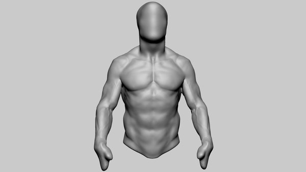 modelo 3d Torso masculino v7 - TurboSquid 1600464