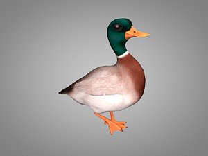 Animated Duck 3D Models For Download | TurboSquid