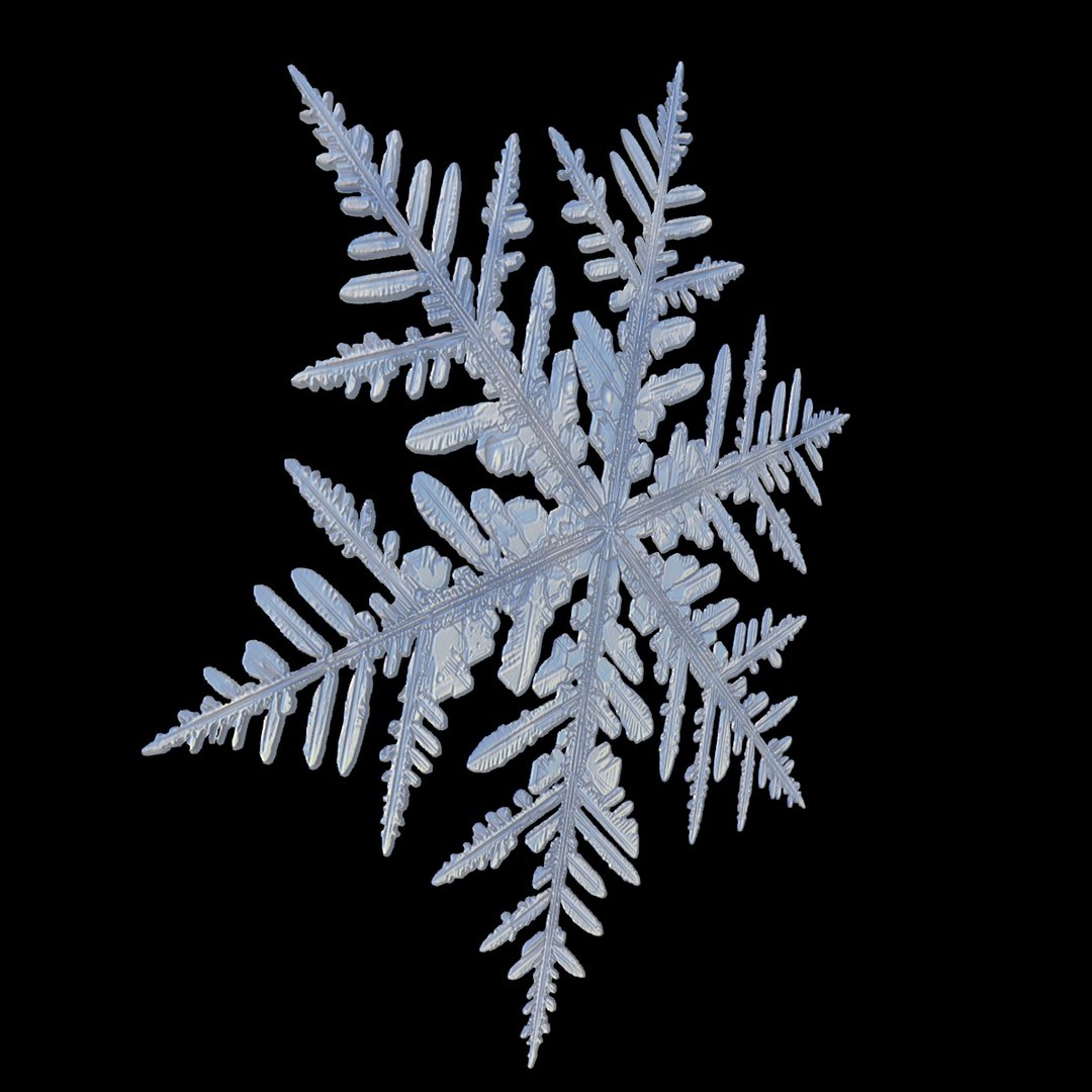 Snow flake 3D model - TurboSquid 1668797
