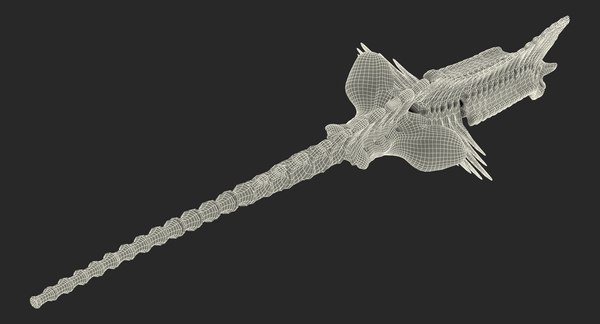 Animal spine vertebrae bones 3D model - TurboSquid 1337202