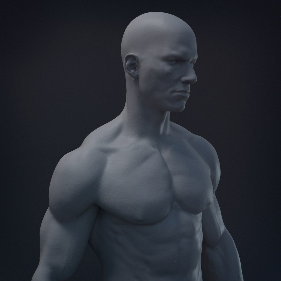 Anatomy Zbrush 3D Model - TurboSquid 1435971
