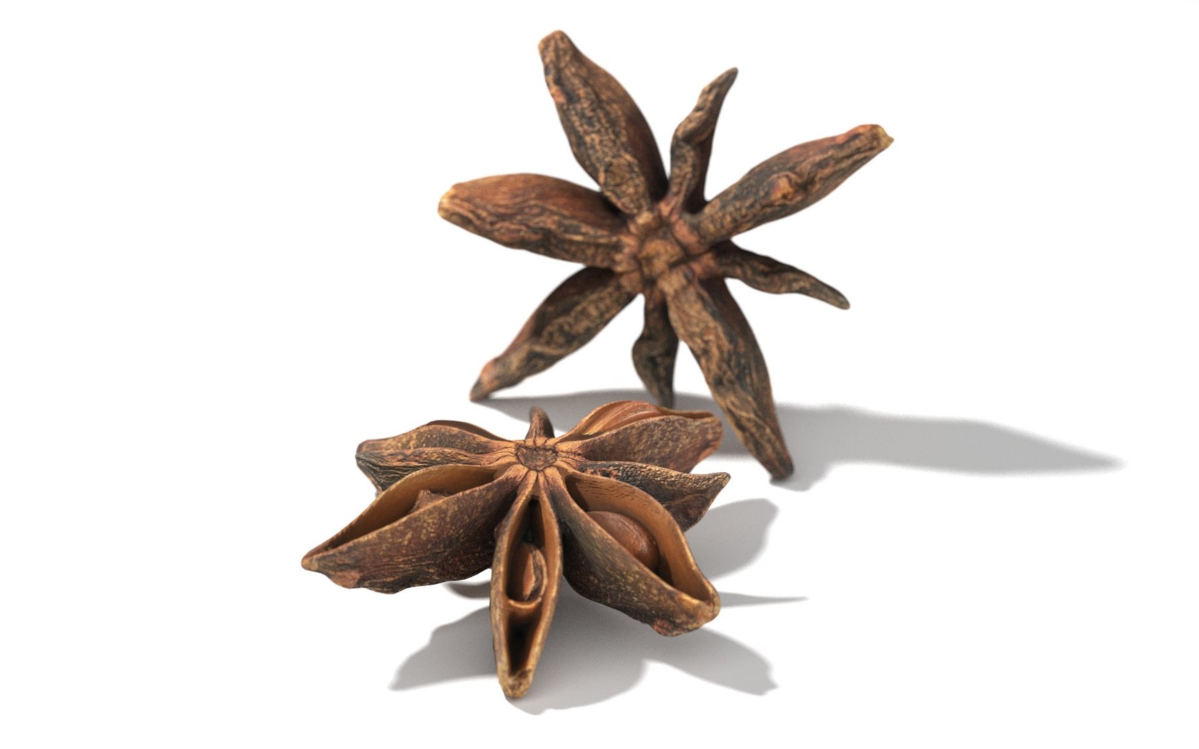 3D Star-anise Star Anis - TurboSquid 1436572