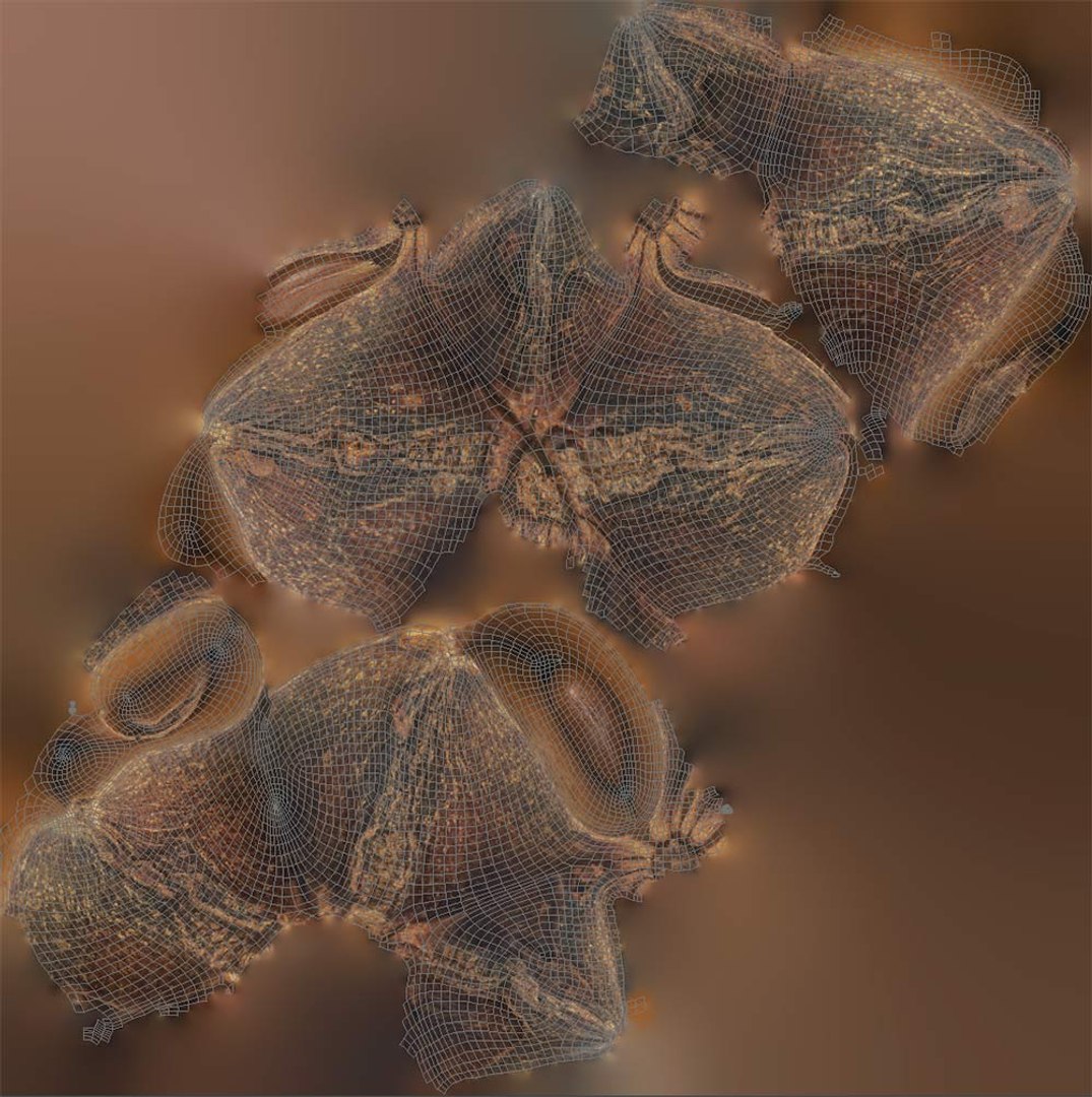 3D Star-anise Star Anis - TurboSquid 1436572