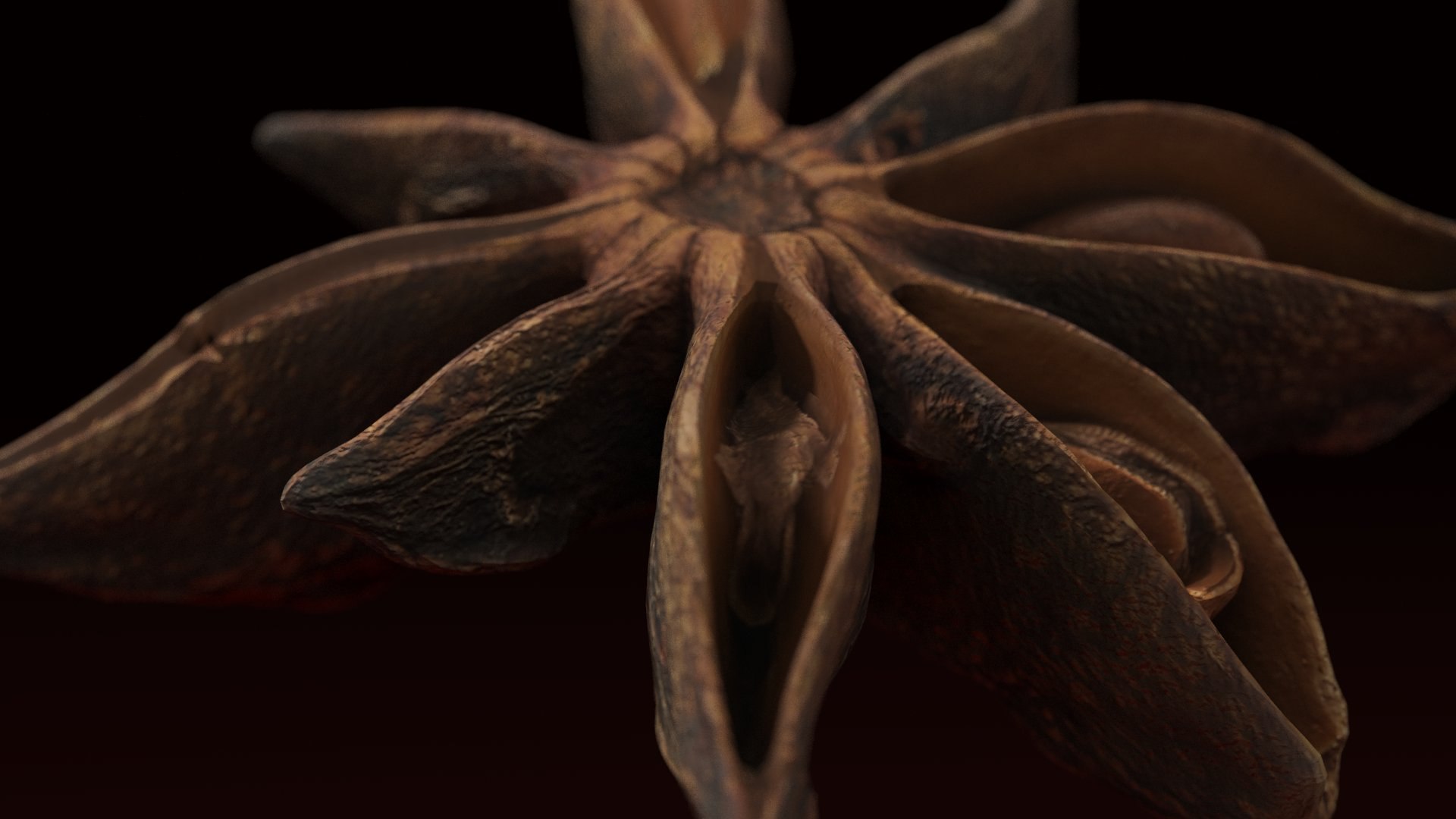 3D Star-anise Star Anis - TurboSquid 1436572