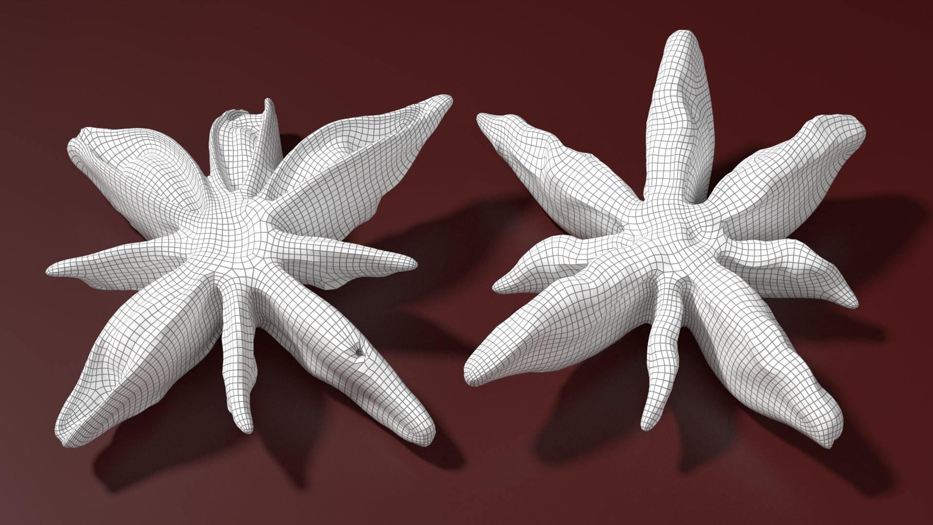 3D Star-anise Star Anis - TurboSquid 1436572