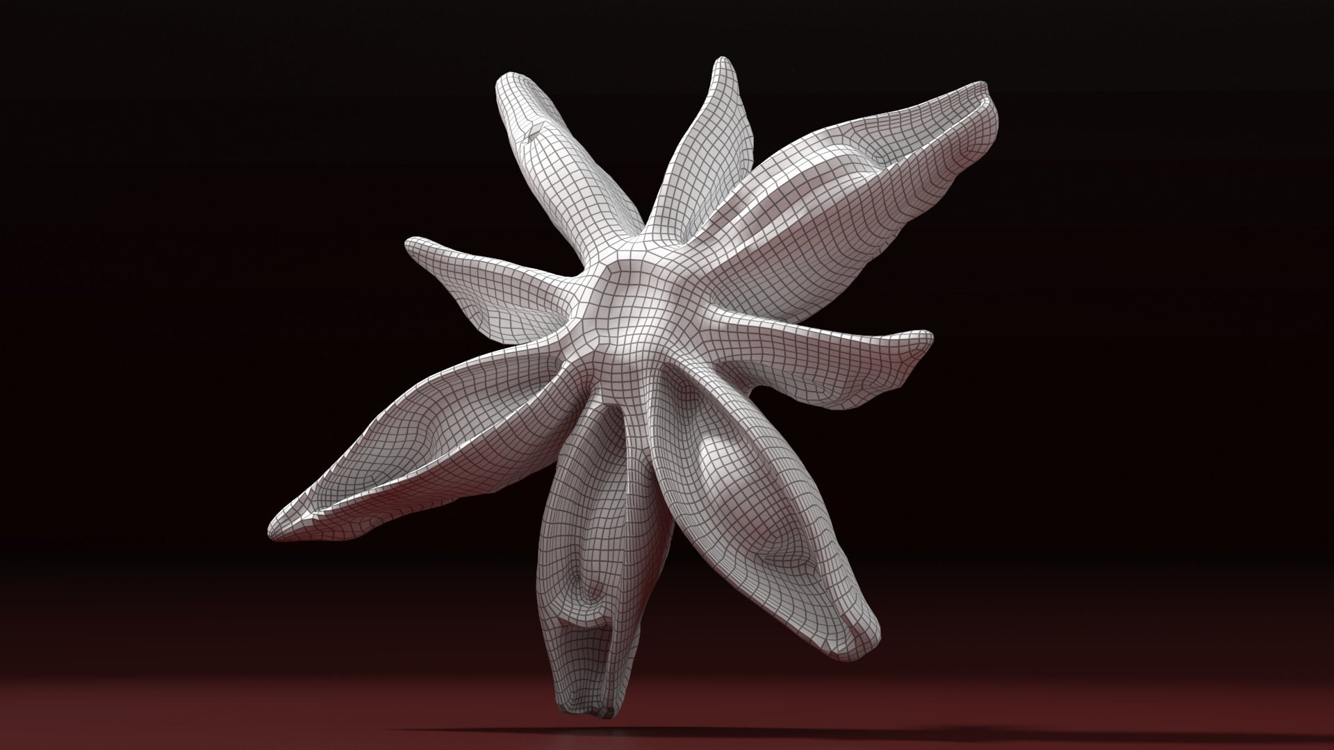 3D Star-anise Star Anis - TurboSquid 1436572