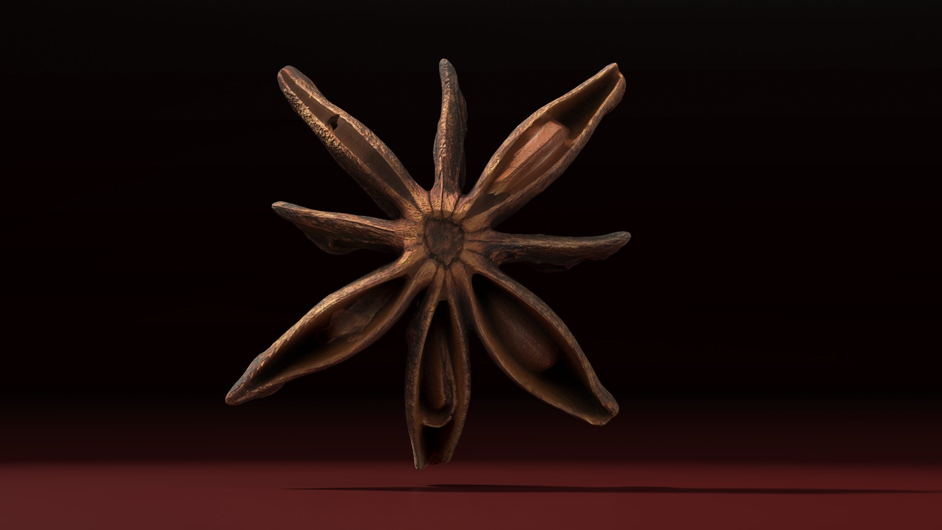 3D Star-anise Star Anis - TurboSquid 1436572