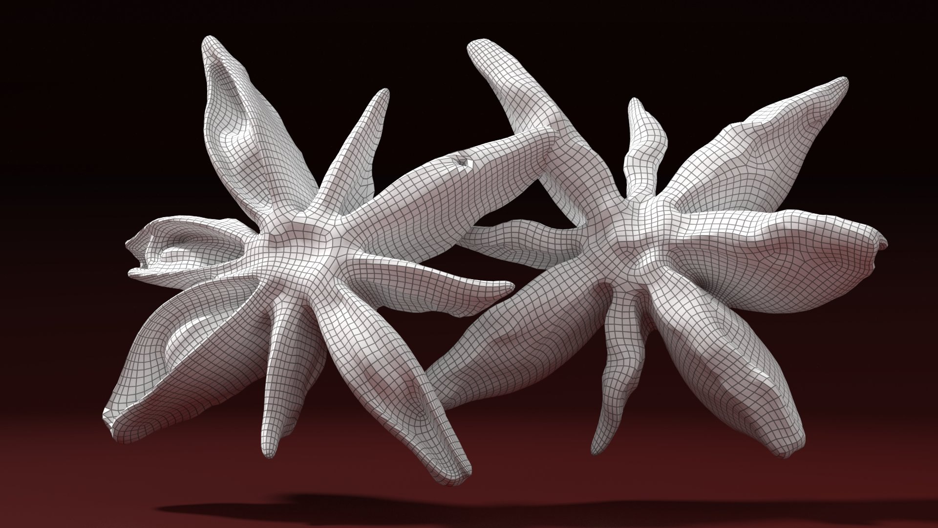 3D Star-anise Star Anis - TurboSquid 1436572