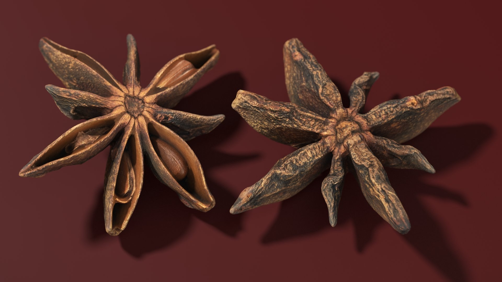 3D Star-anise Star Anis - TurboSquid 1436572