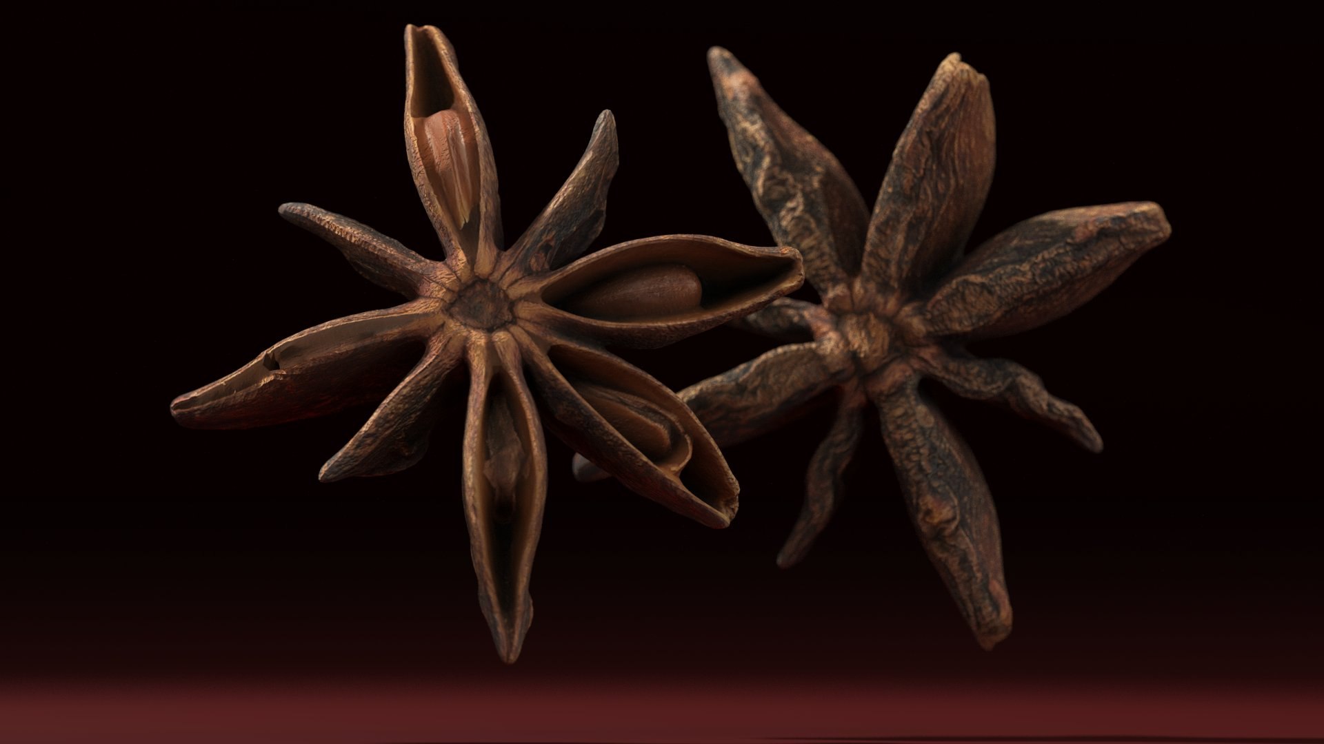 3D Star-anise Star Anis - TurboSquid 1436572