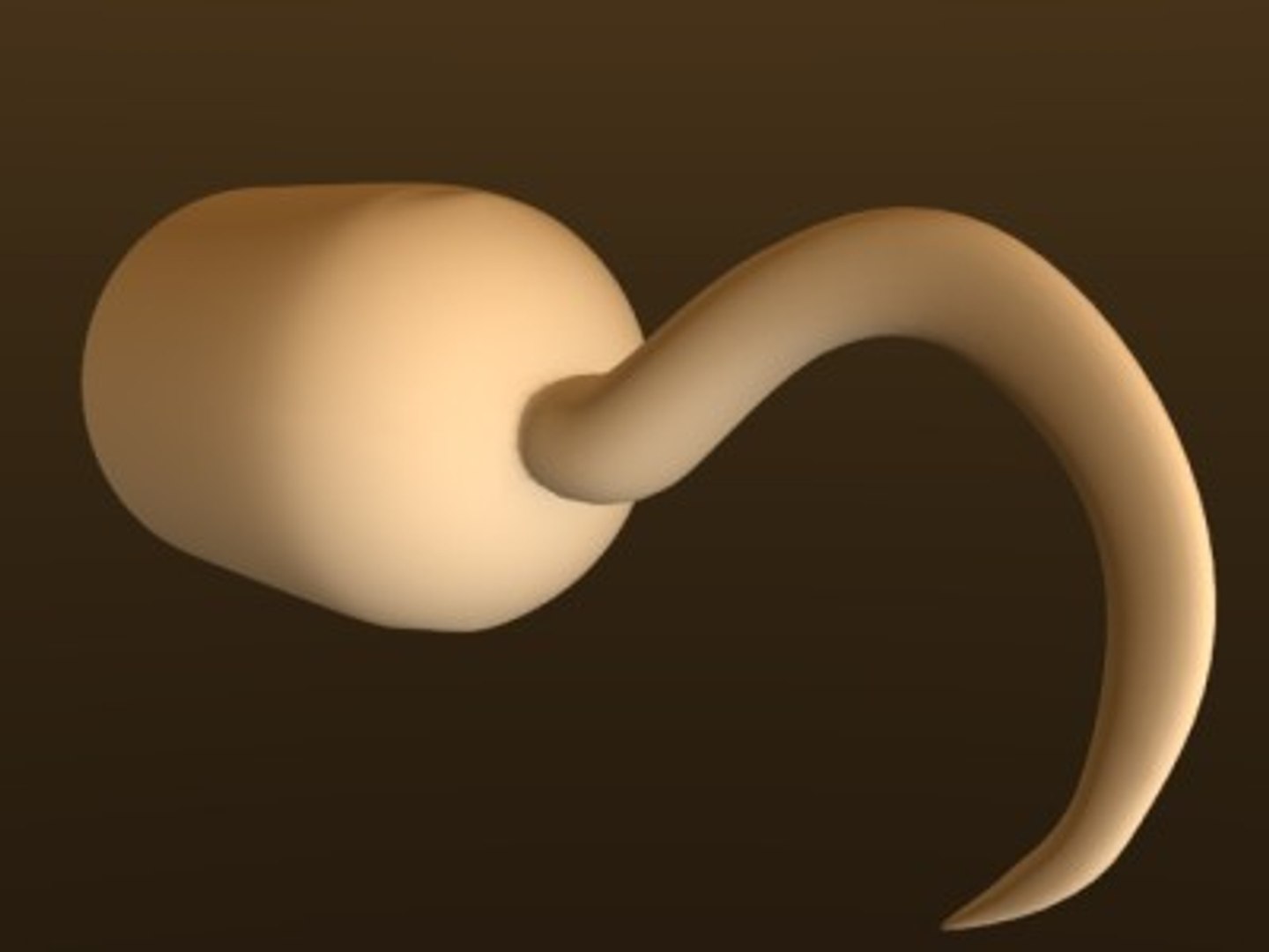 3d Model Capitan Hook