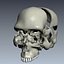 Human Skull Exploding 3d Model