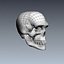 Human Skull Exploding 3d Model