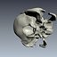 Human Skull Exploding 3d Model