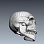 Human Skull Exploding 3d Model