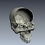 Human Skull Exploding 3d Model