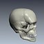 Human Skull Exploding 3d Model