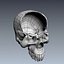 Human Skull Exploding 3d Model