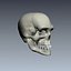 Human Skull Exploding 3d Model
