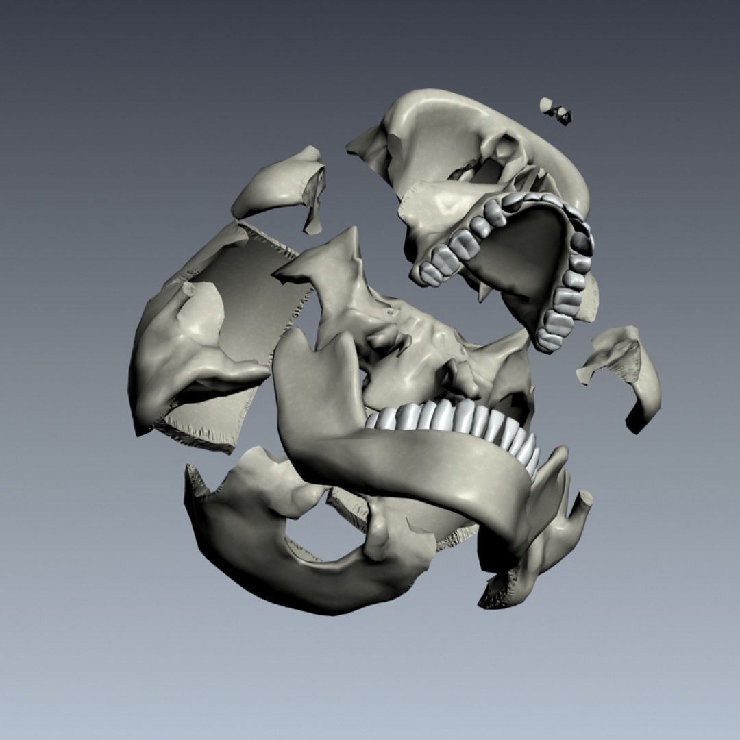 Human Skull Exploding 3d Model