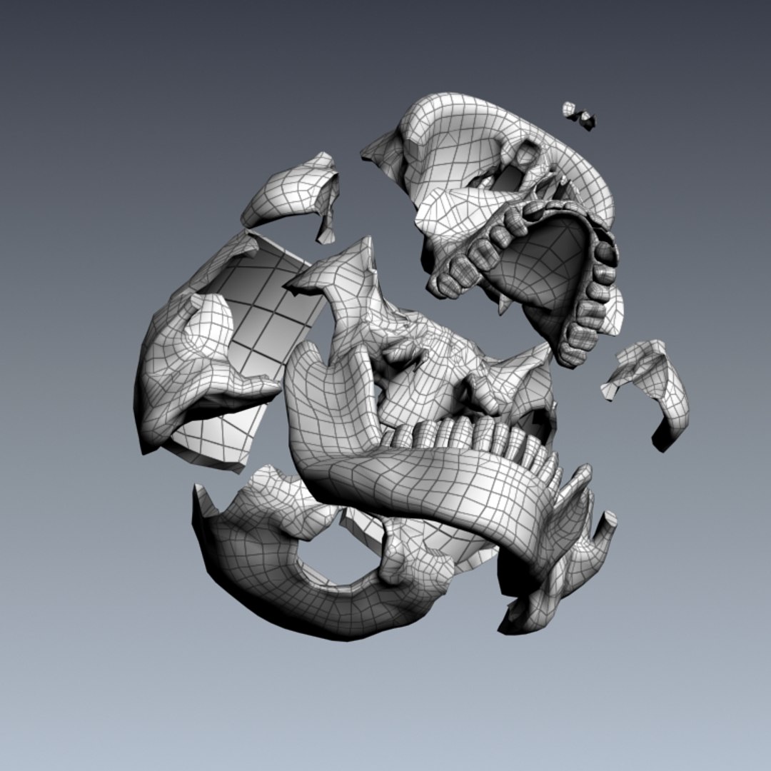 Human Skull Exploding 3d Model