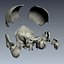 Human Skull Exploding 3d Model