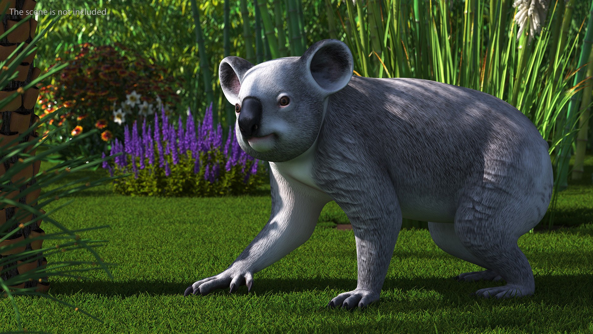 Australian Koala Rigged for Cinema 4D 3D model - TurboSquid 2181455