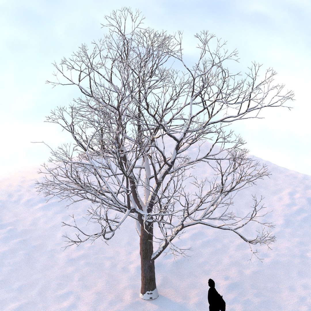 3d Winter Tree Model