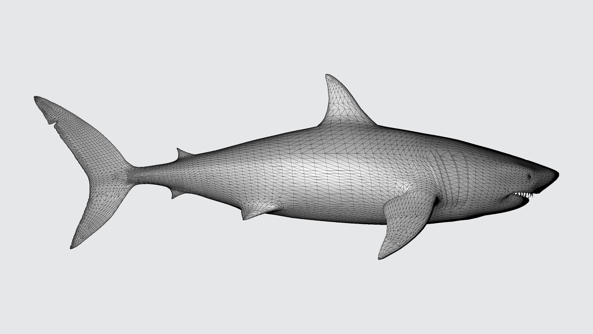 3D Model Megalodon - TurboSquid 2346272