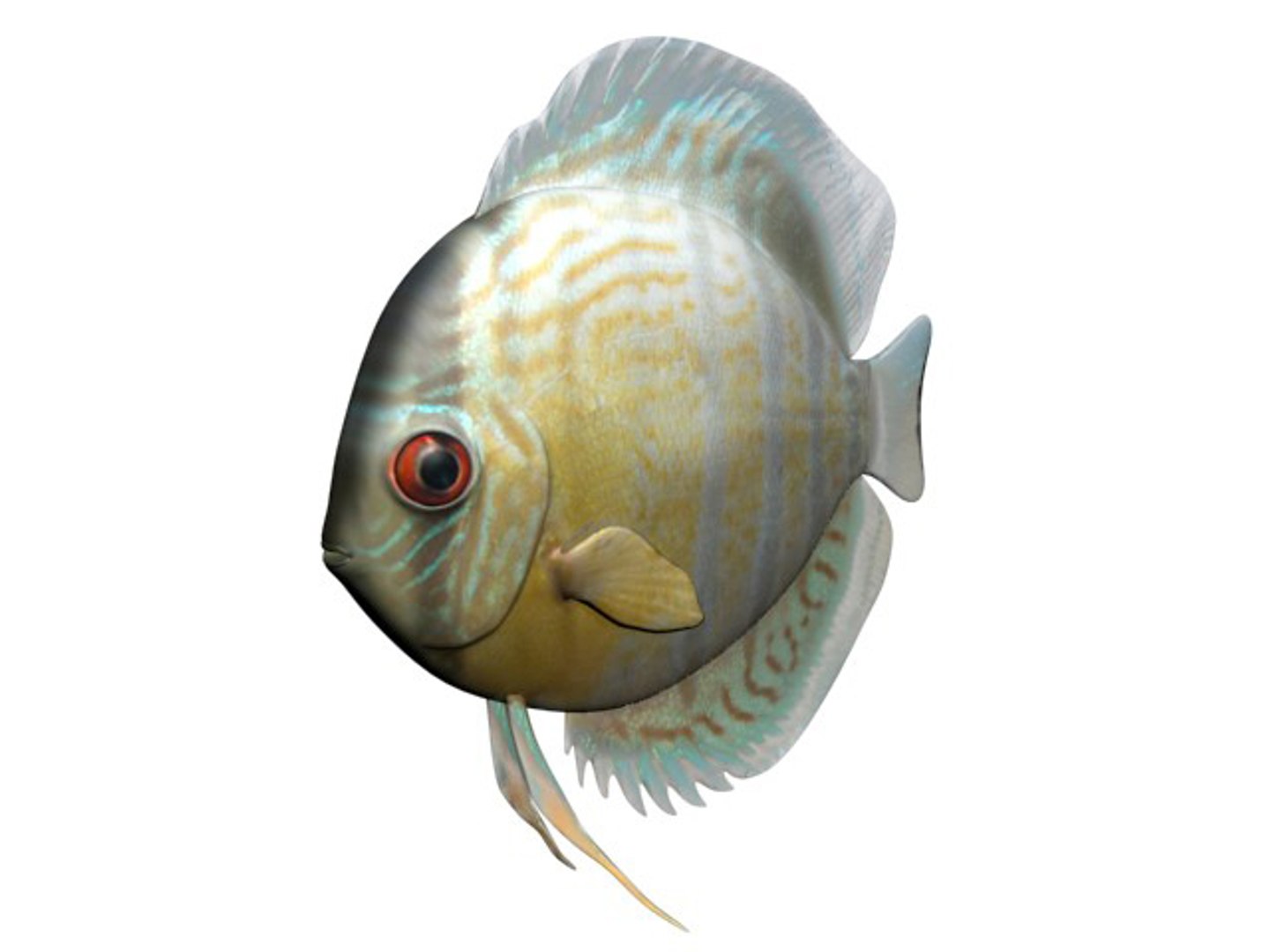 royal green discus 3d model