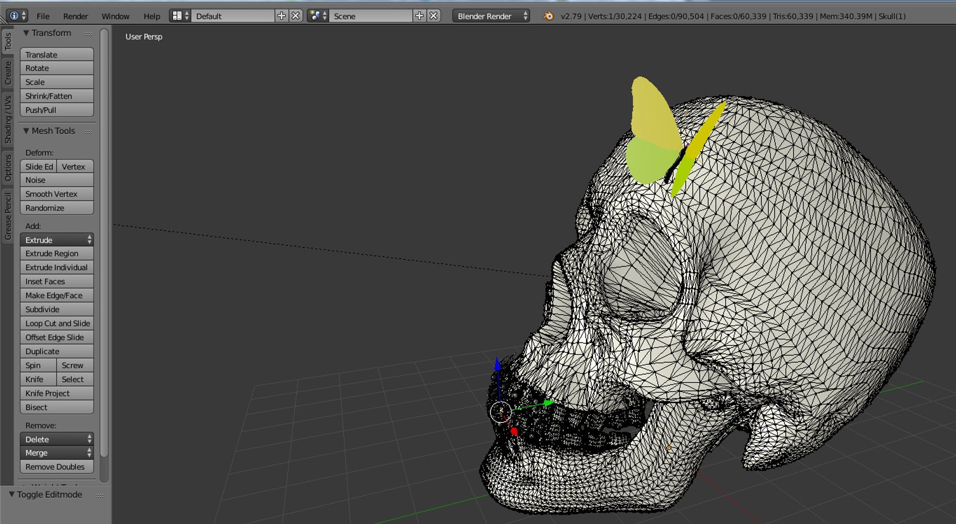 3D skull model - TurboSquid 1242086