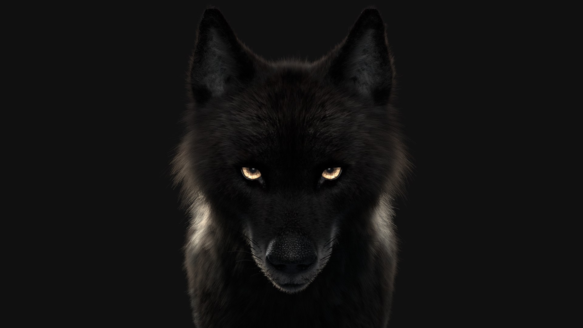 Black Timber Wolf Xgen 3D - TurboSquid 2075948