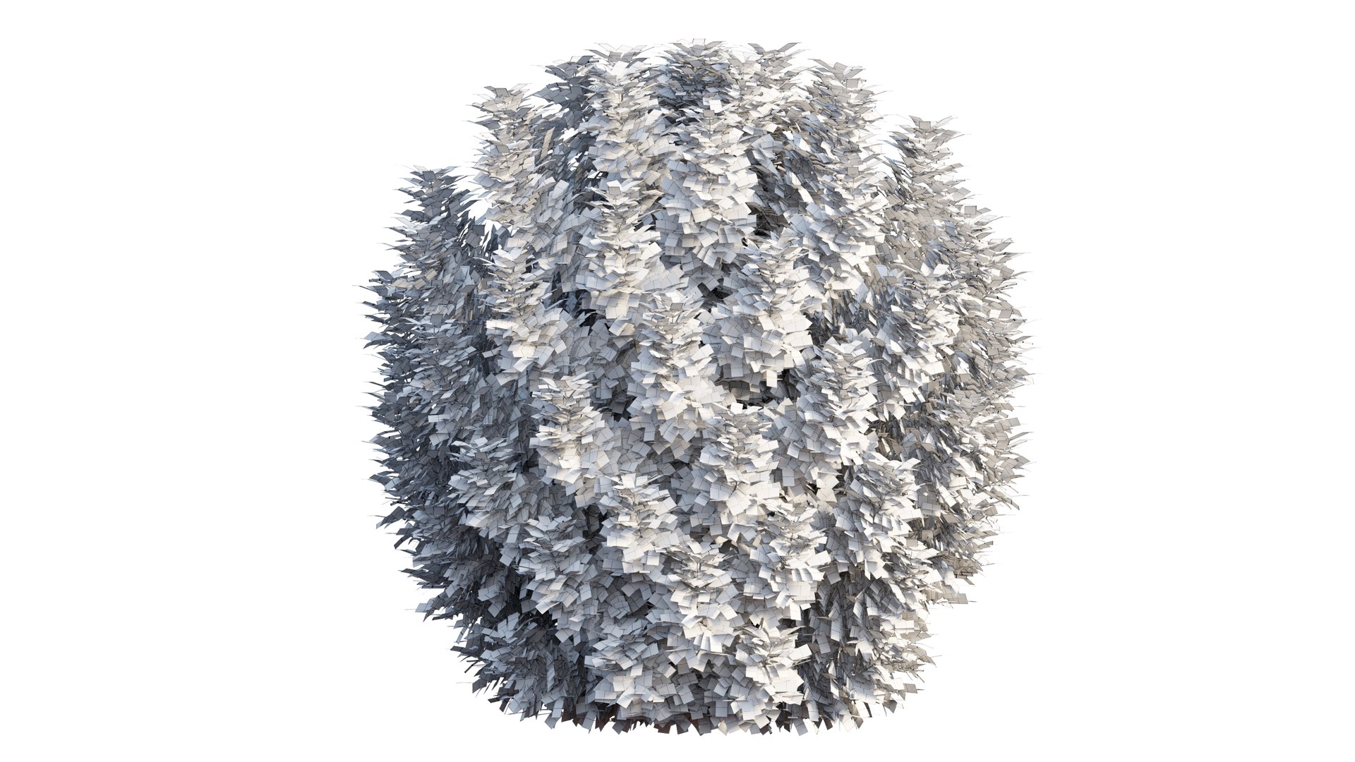 3D Aglaia duperreana plant set 04 model - TurboSquid 1837343