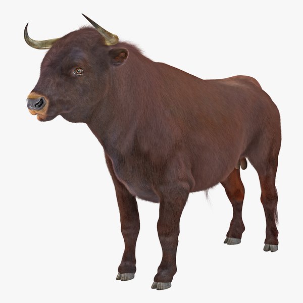 Bull fur 3D - TurboSquid 1215648