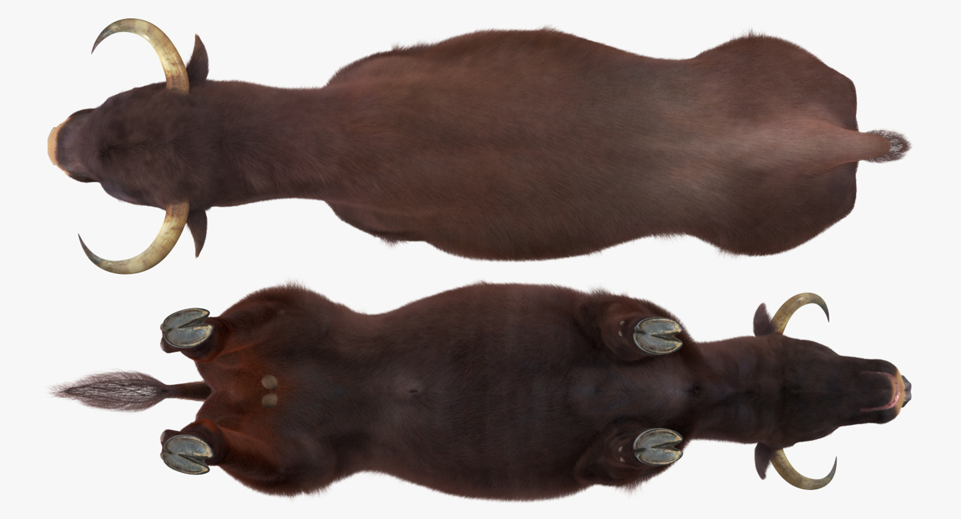 Bull fur 3D - TurboSquid 1215648