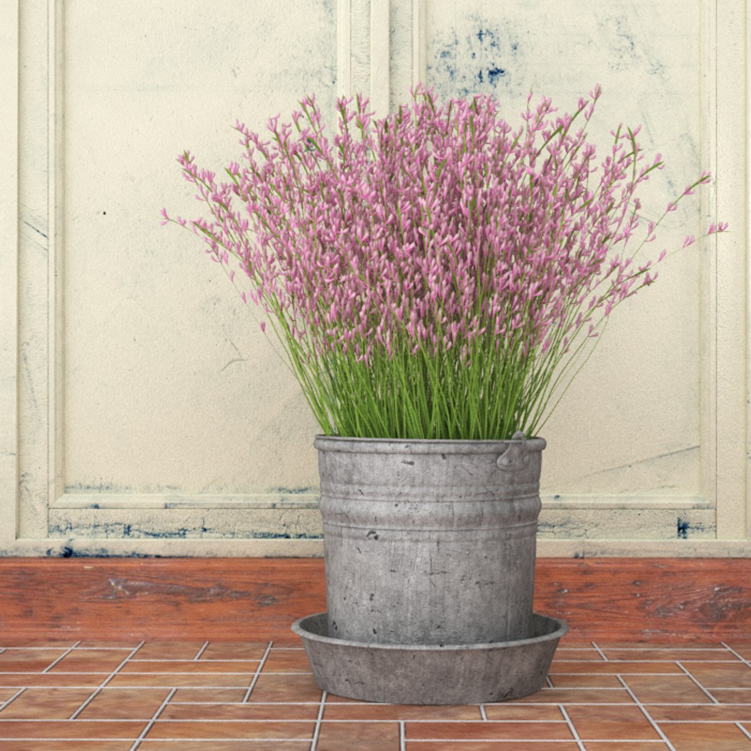 3d Model Purple Flower Metal Bucket