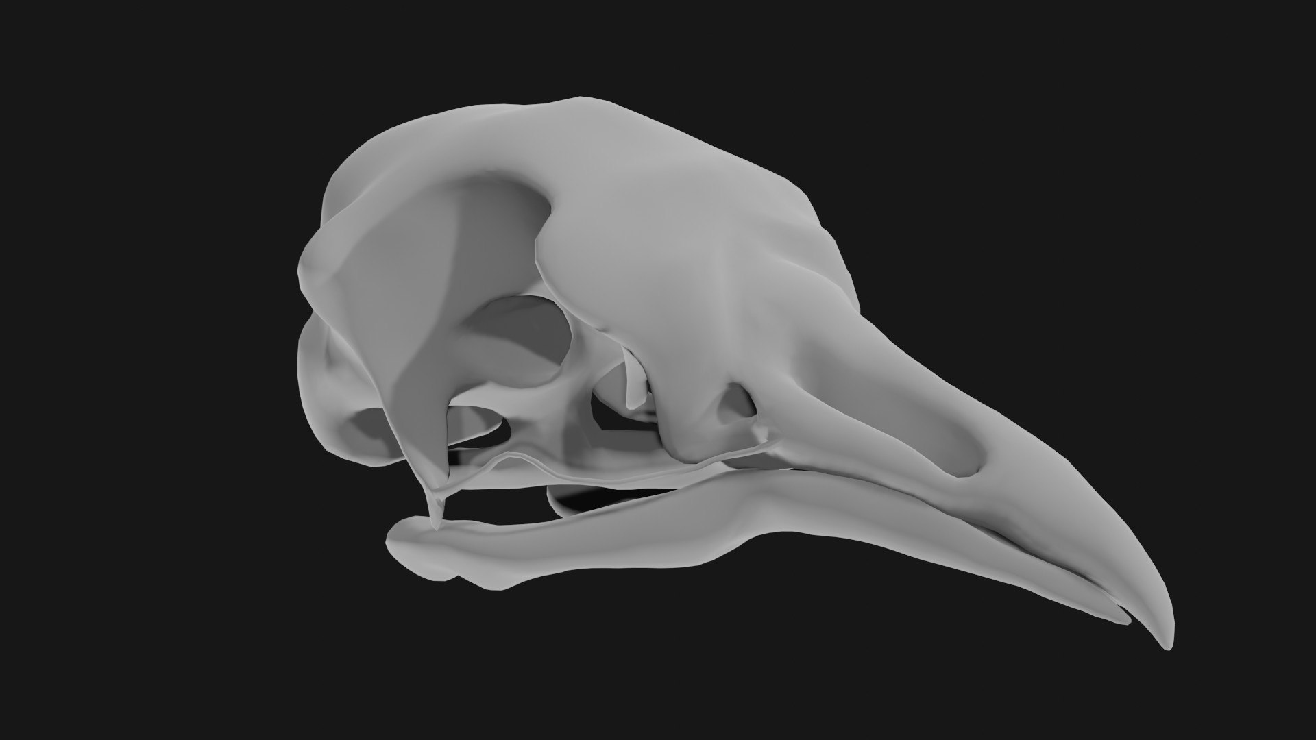 3D Model Pigeon Skull - TurboSquid 1967047