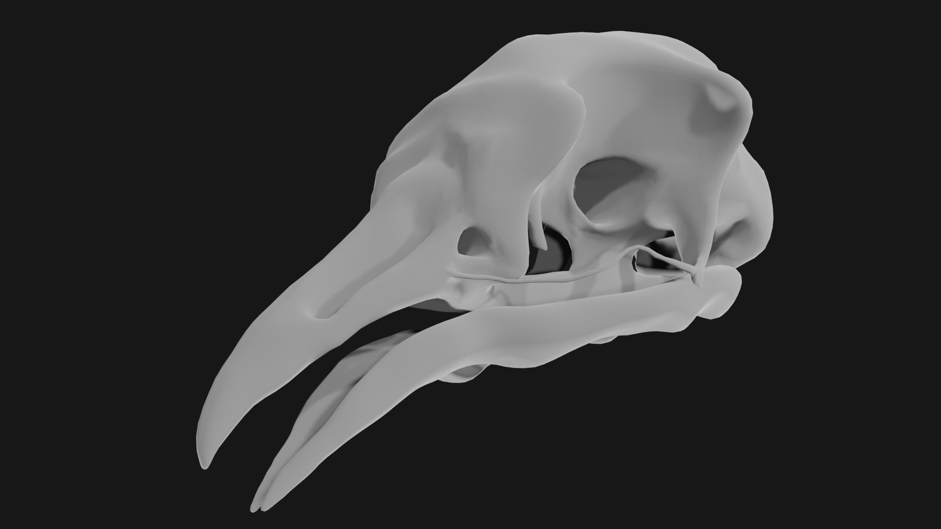 3D Model Pigeon Skull - TurboSquid 1967047